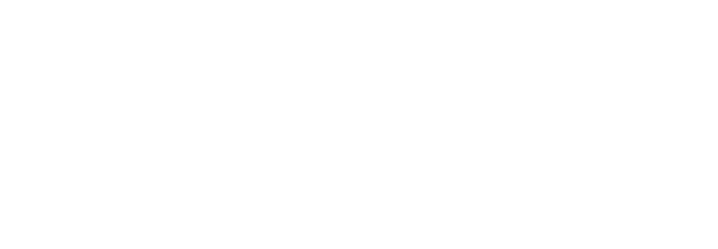 RunBuggy vs. RunBuggyOne: Understanding the Differences - RunBuggy OMI, Inc