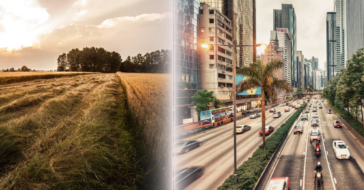 Rural vs. Urban Auto Transport - RunBuggyOne